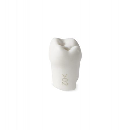 ModuPRO One Replacement Tooth #2 | Stevenson Dental Solutions