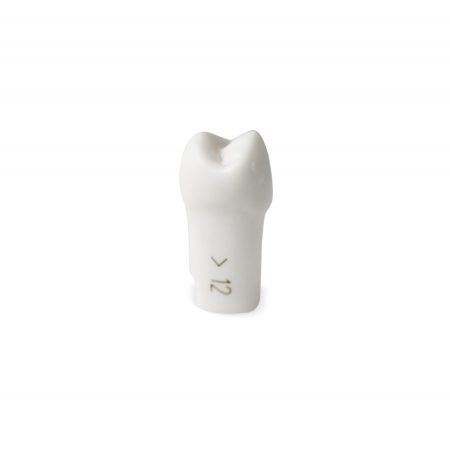 ModuPRO One Replacement Tooth #12 | Stevenson Dental Solutions