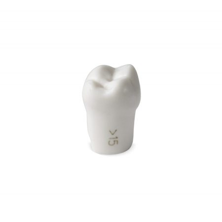 ModuPRO One Replacement Tooth #15 | Stevenson Dental Solutions
