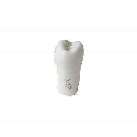 ModuPRO One Replacement Tooth #17 | Stevenson Dental Solutions