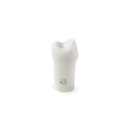 ModuPRO Pros Replacement Tooth #12 | Stevenson Dental Solutions