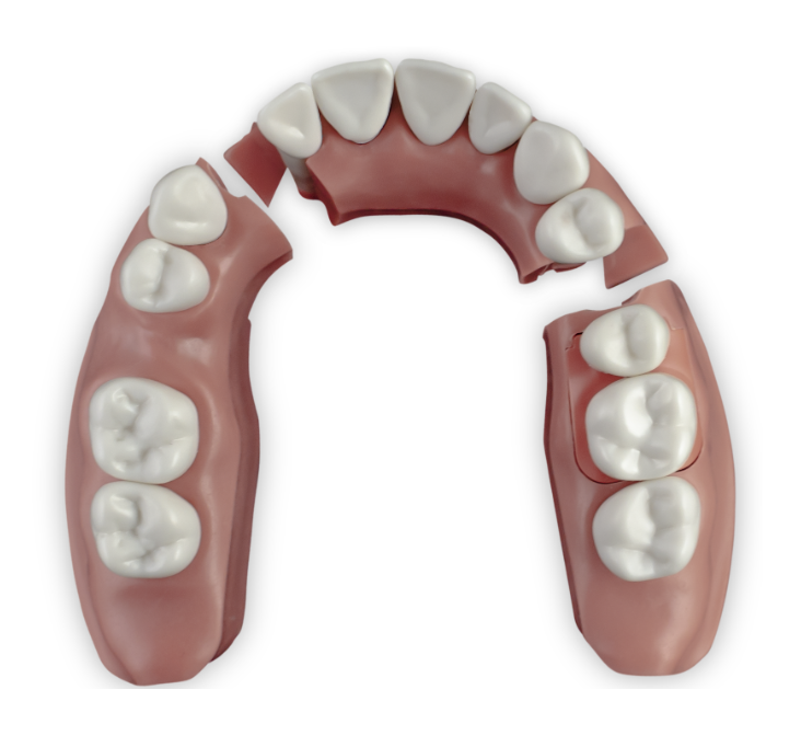 Acadental CDCA ADEX Exam Complete Kit - Everything you need